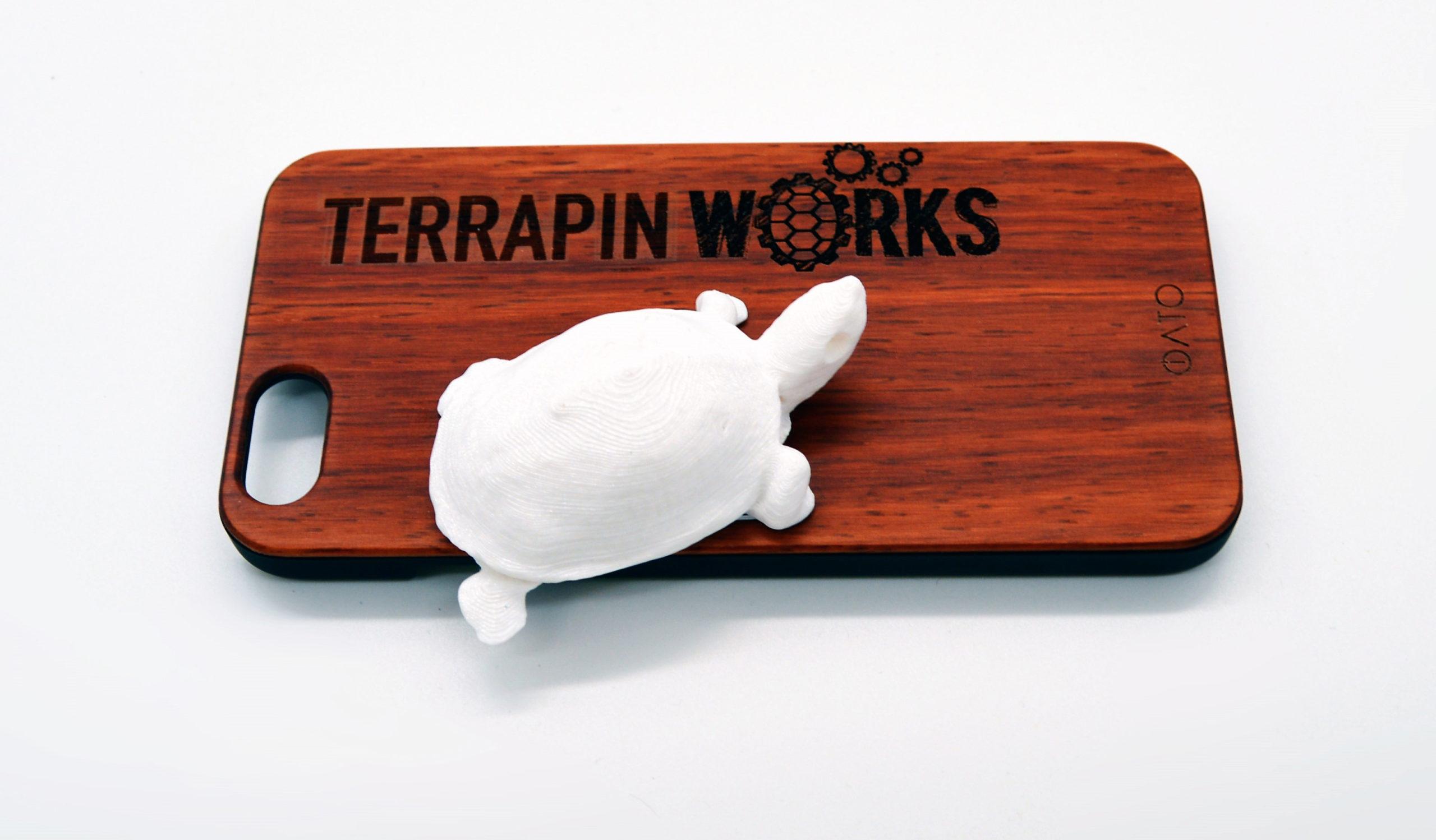 Terrapin Works | University of Maryland Innovation Gateway
